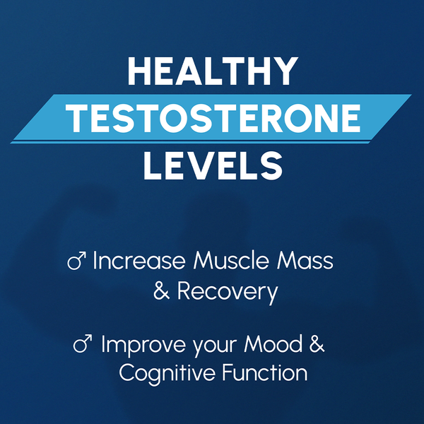 Virility Max Herbal Male Performance Supplements 60 Capsules | Sexyland